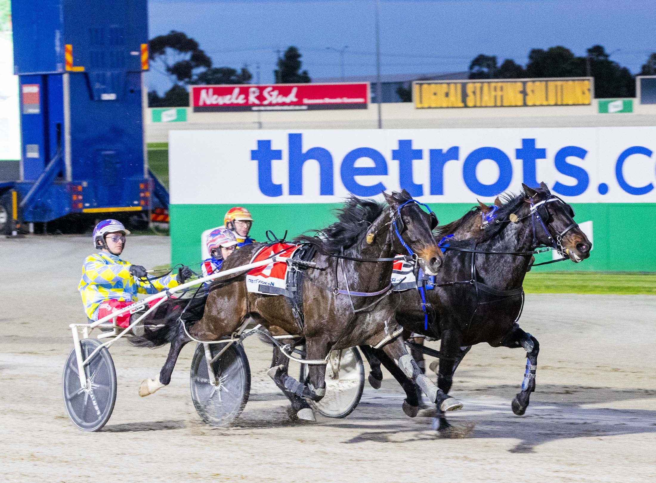 Sandersons kick off a Perfect night at headquarters - The Trots